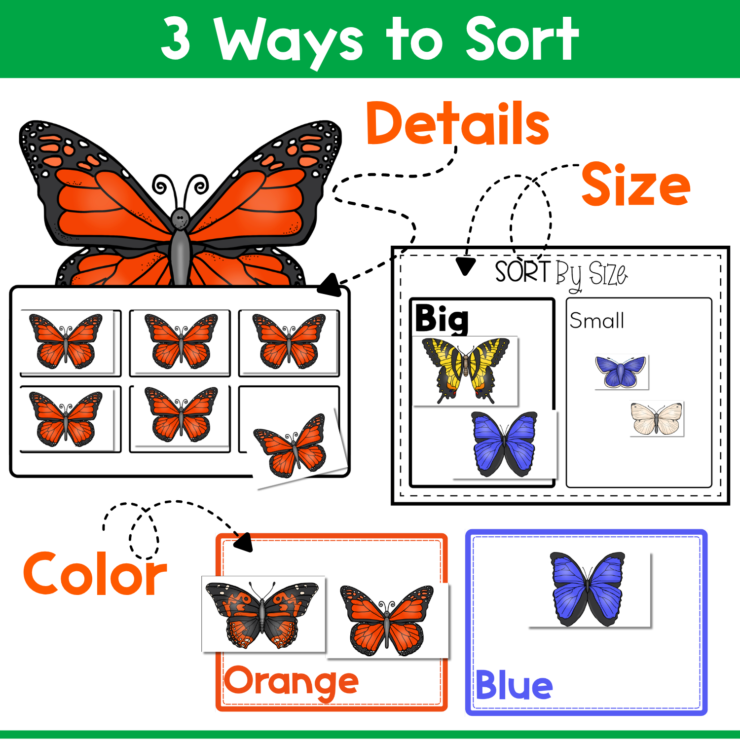 Butterfly Life Cycle Sorting Activity – lifeovercs