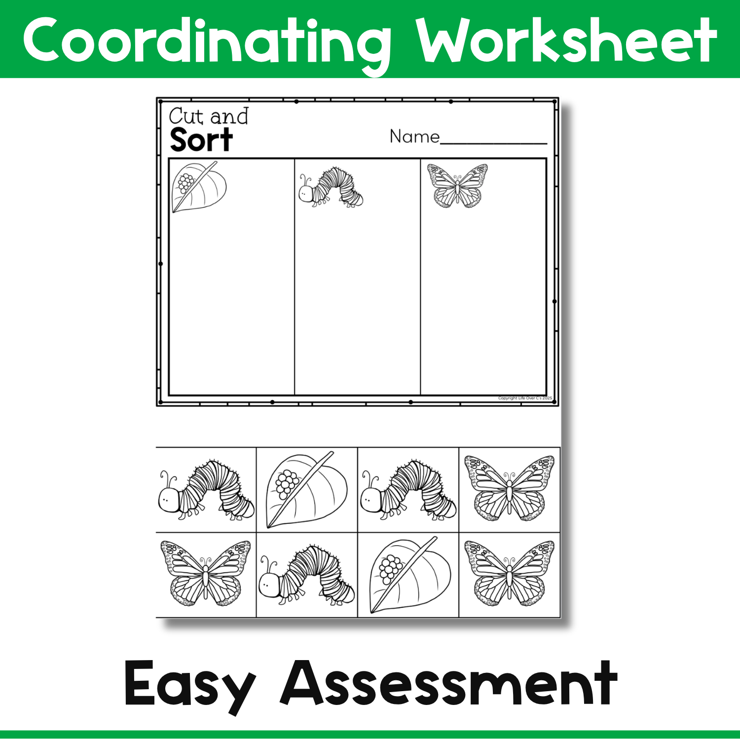 Butterfly Life Cycle Sorting Activity – lifeovercs