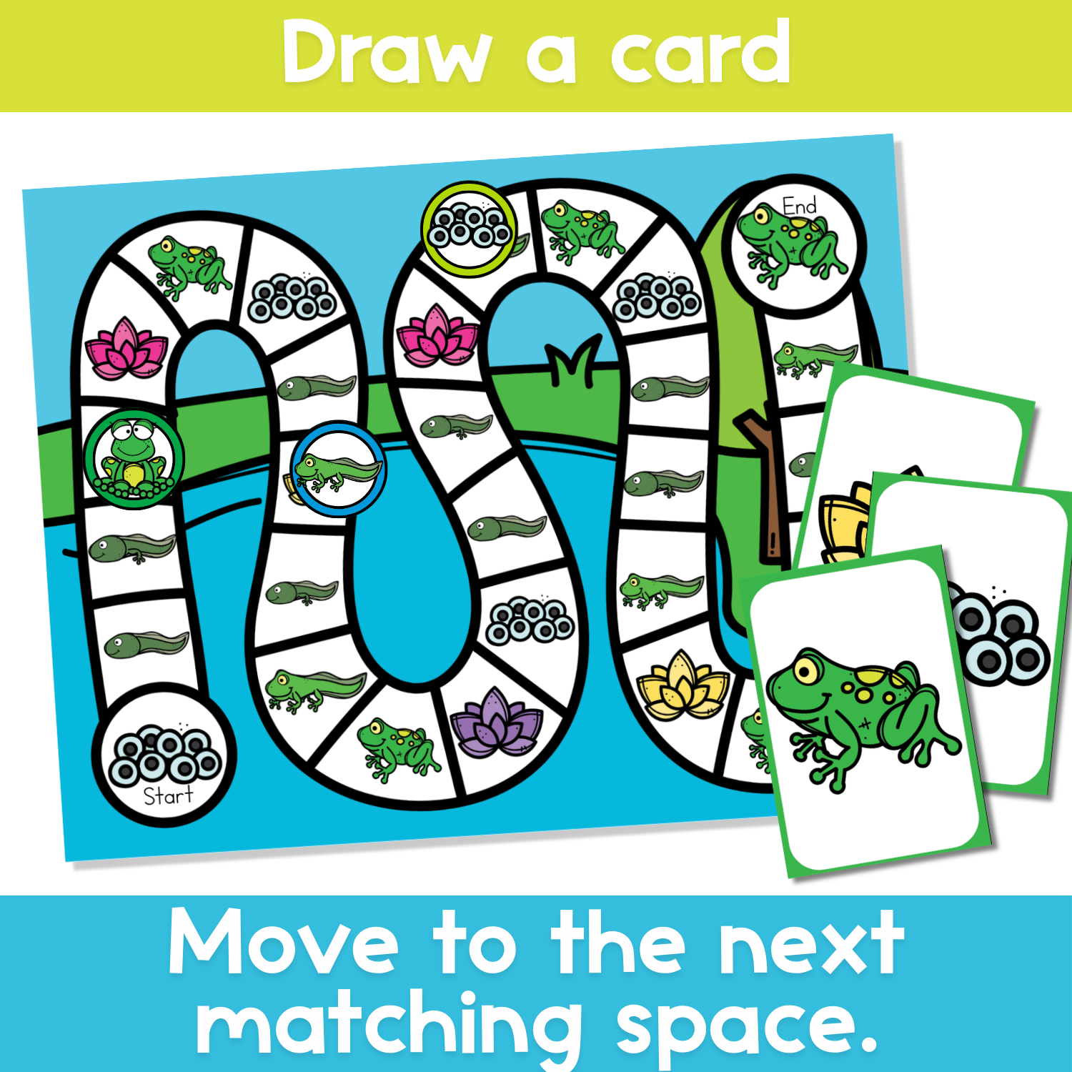 Frog Life Cycle Board Game | Life Cycle of a Frog Science Game | Vocab ...