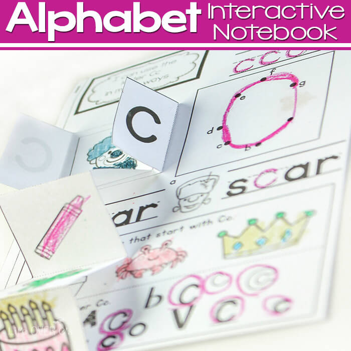 Alphabet Interactive Notebook – lifeovercs